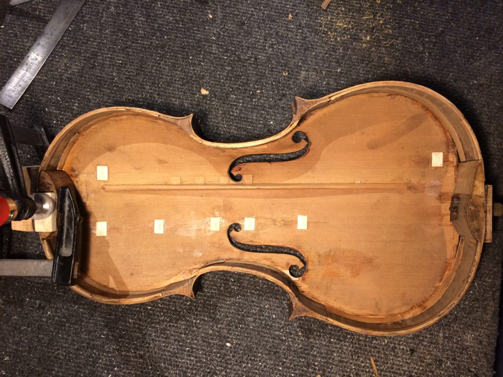 IMG_0961 - Alto - Viola